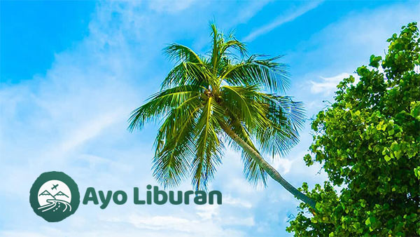 Ayo Liburan - Wisata Murah ke Bali